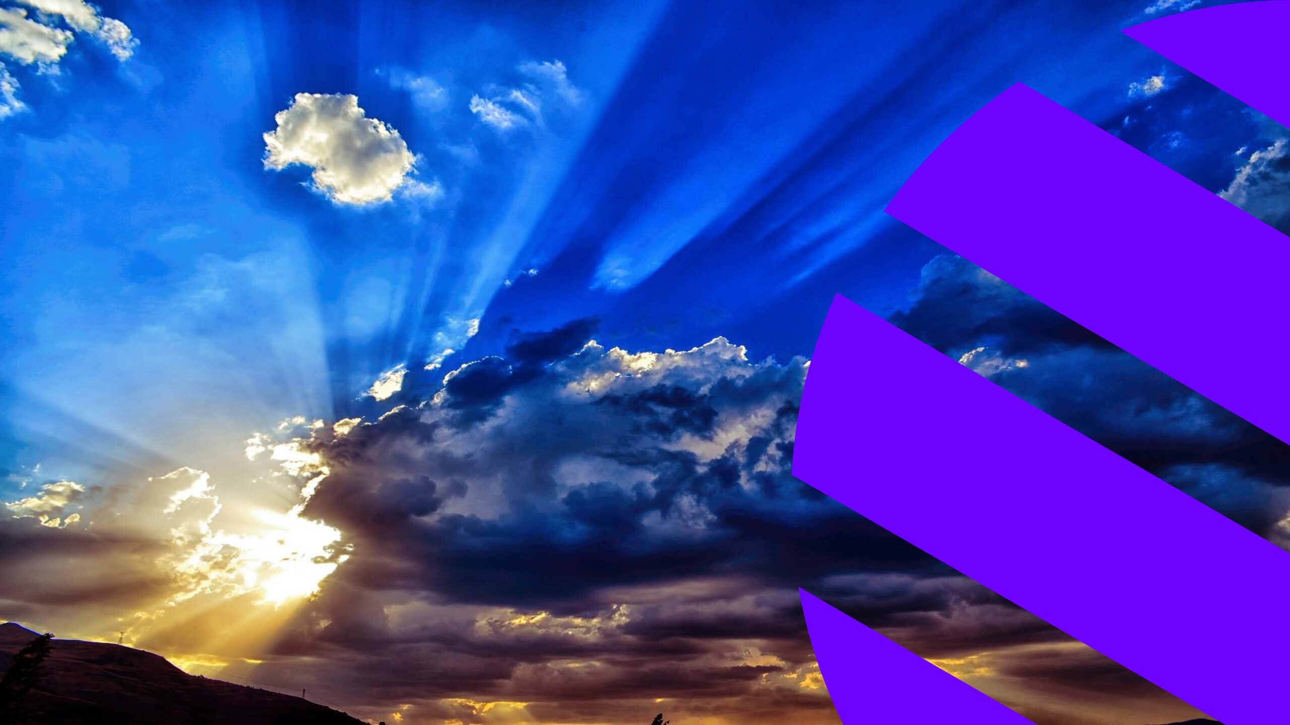 Carbon Reporting Software